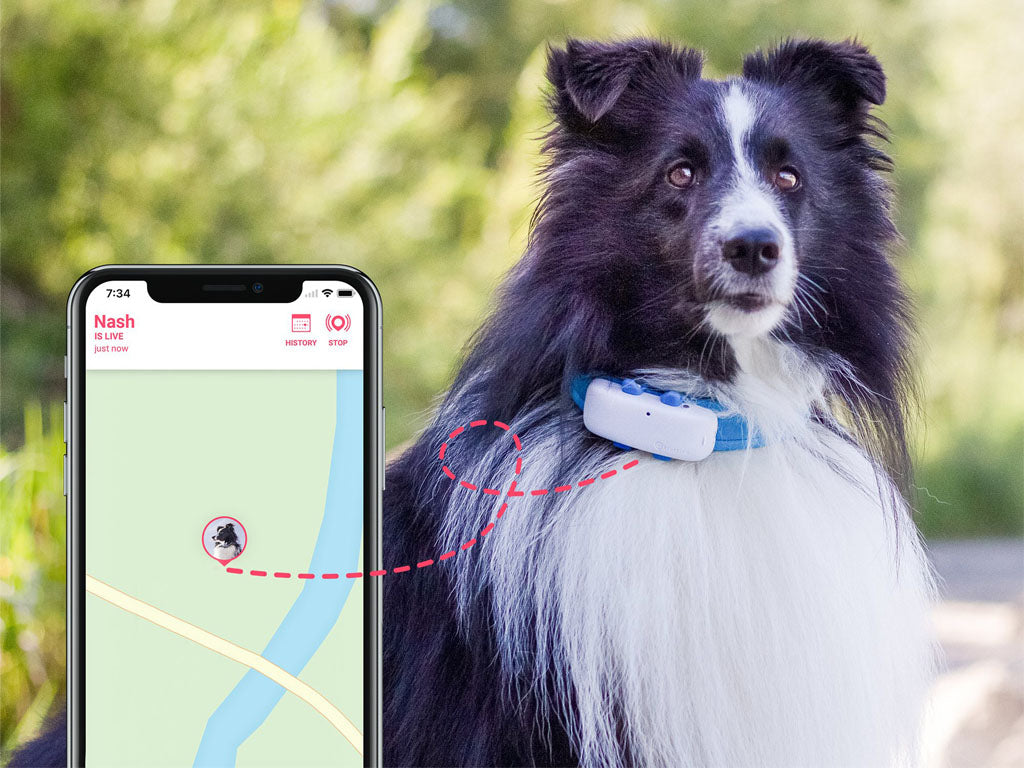 tractive-gps-paikannin-koiralle-ja-kissalle-broshop-fi