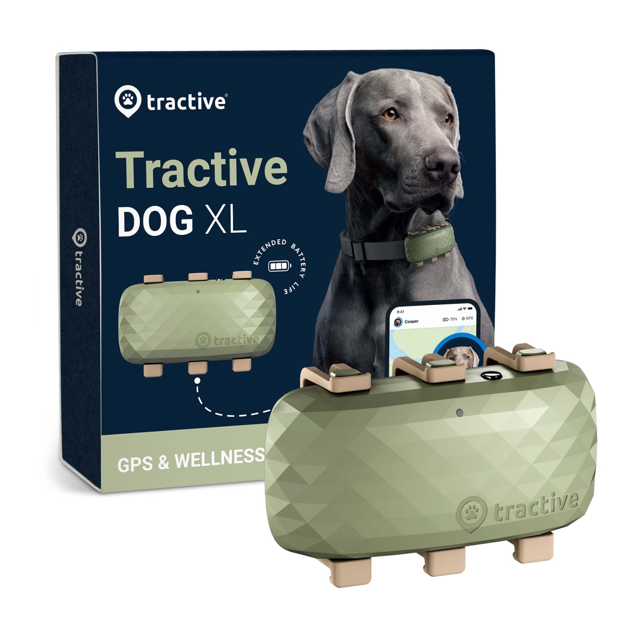 Tractive DOG XL GPS-paikannin isommalle koiralle